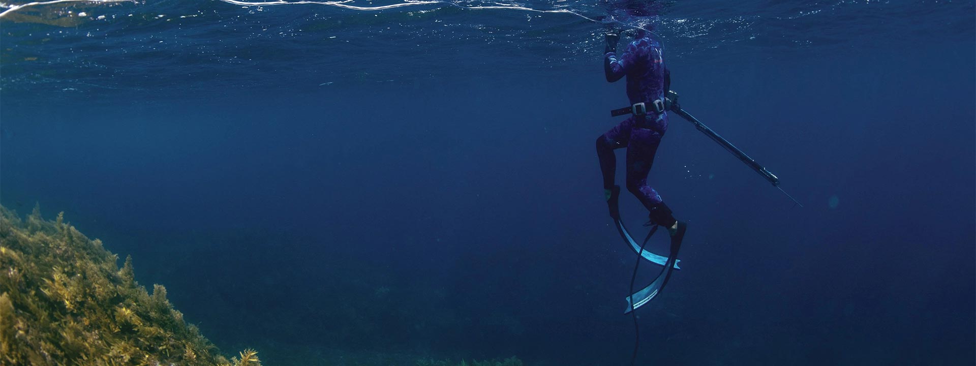 Ocean Guardian Shark Shield – Florida Freedivers